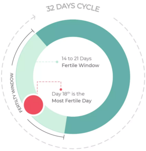 Everything You Should Know About Fertile Window