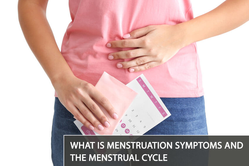 What Is Menstruation: Symptoms And The Menstrual Cycle?